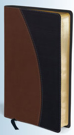 NIV Compact Thinline Bible - Tan/Black Italian Duo-Tone