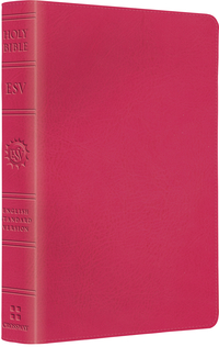 ESV Kid's Compact Bible - TruTone Pretty Pink