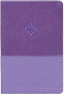 Amplified (Revised) Large Print (11 pt.) Study Bible Purple Leathersoft ...