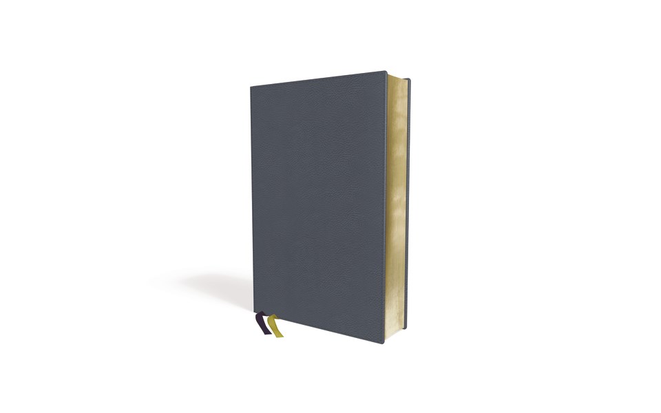 Span-NBLA MacArthur Study Bible (Biblia De Estudio Macarthur)-Slate ...